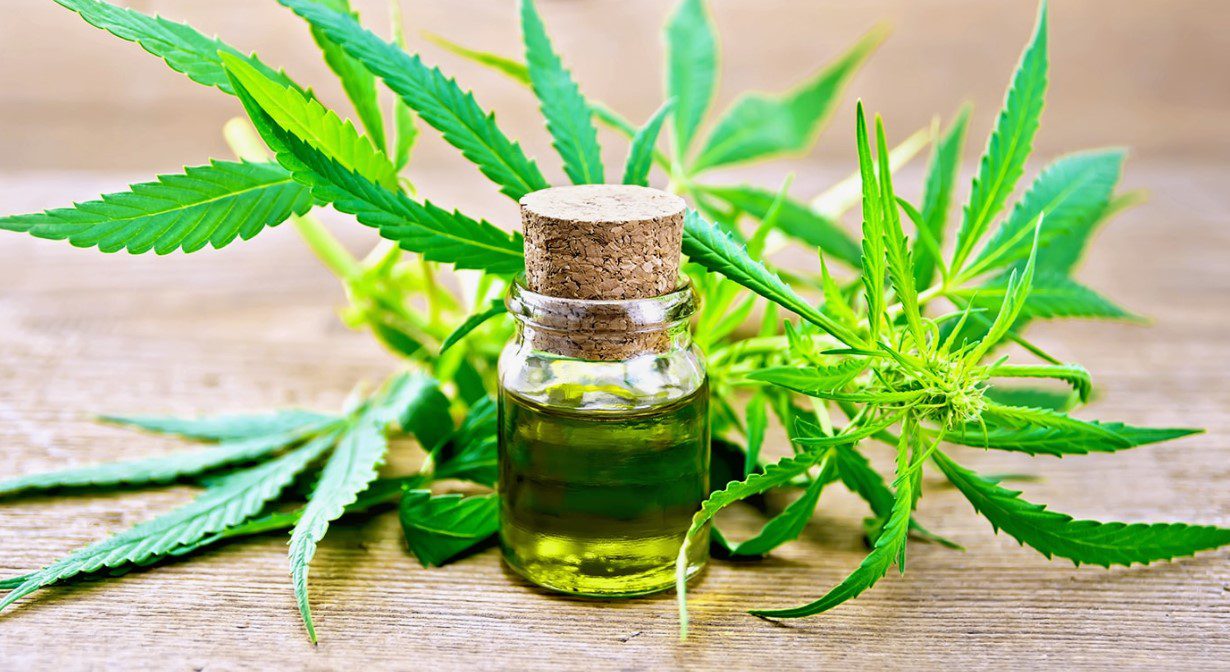 Everything You Need to Know About Marijuana Delivery Services